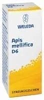 APIS MELLIFICA skin, homeopathy, inflammation of kidney, skin ailments ...