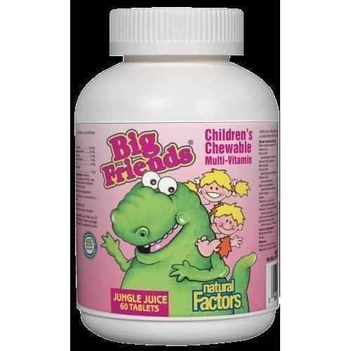 BIG FRIEND MULTIVITAMINS FOR CHILDREN Juicy jungle fruit 60 chewable ...