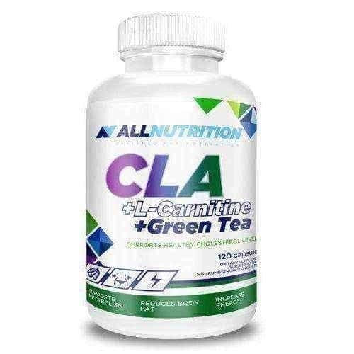 CLA supplement + L-Carnitine + Green tea x 120 capsules UK – ELIVERA UK
