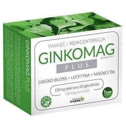 Ginkomag Plus x 120 capsules, ginkgo biloba leaf extract, Magnesium UK ...