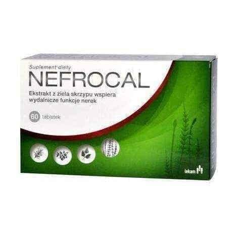 HELP function of kidneys in excretory system, horsetail extract ...
