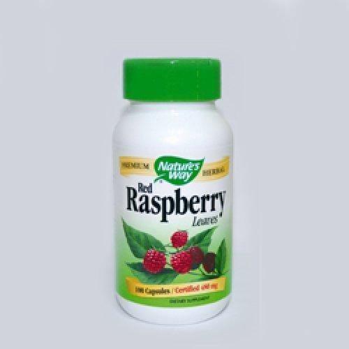 Raspberry Leaves 480 mg 100 capsules UK – ELIVERA UK